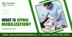 What Is Spinal Mobilization? - Elevation Health Chiropractic
